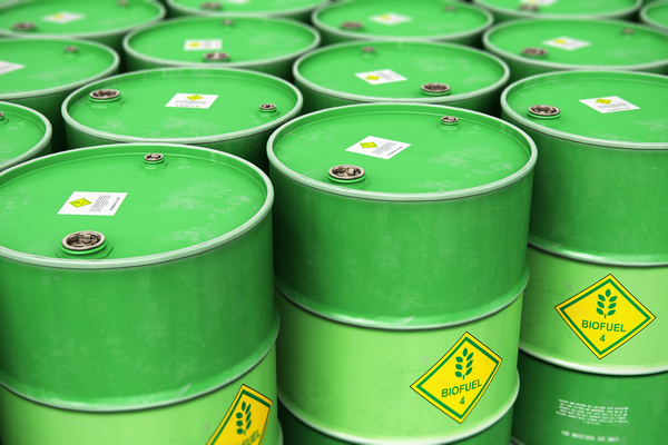 BMT delivers B100 biofuel in German port